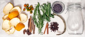 Making “Florida Water” at Home | Twisting the Leaf